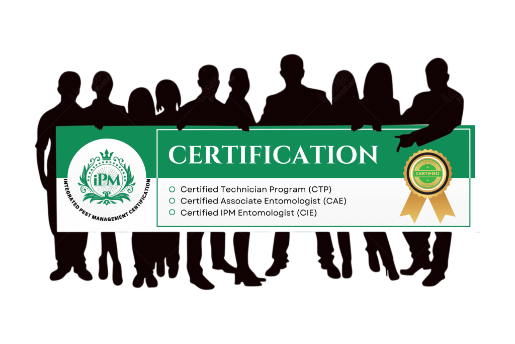 Your Team - iPM Certification